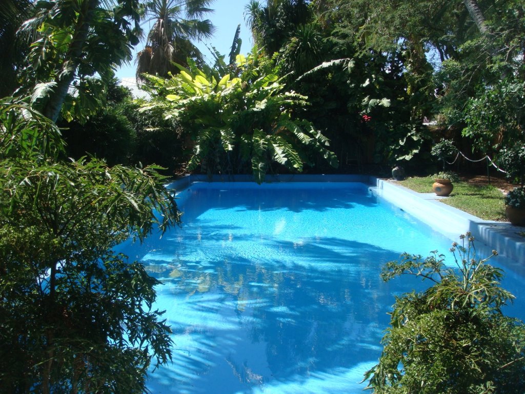 The Hemingway Home & Museum | The Velvet Rocket
