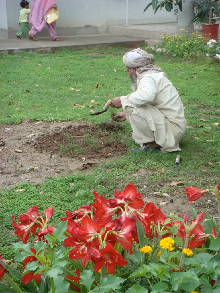 Visiting Peshawar – Scenes And Pictures Of Pakistan | The Velvet Rocket