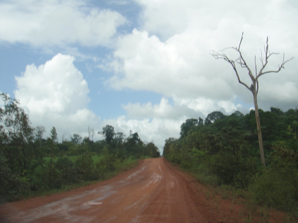 Macapa to Oiapoque on BR156… Or Macapa to Cayenne… Or how the hell do I ...