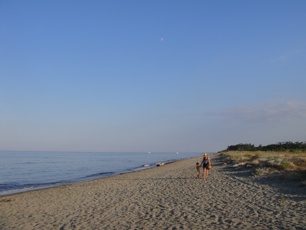 The FLNC Tour – National Liberation Front of Corsica – Part 2 | The ...