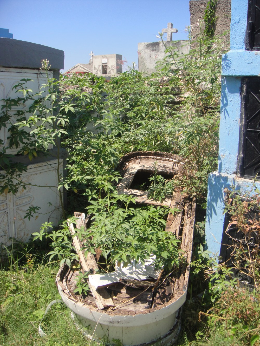 Visiting The Grand Cemetery Of Port-au-Prince | The Velvet Rocket