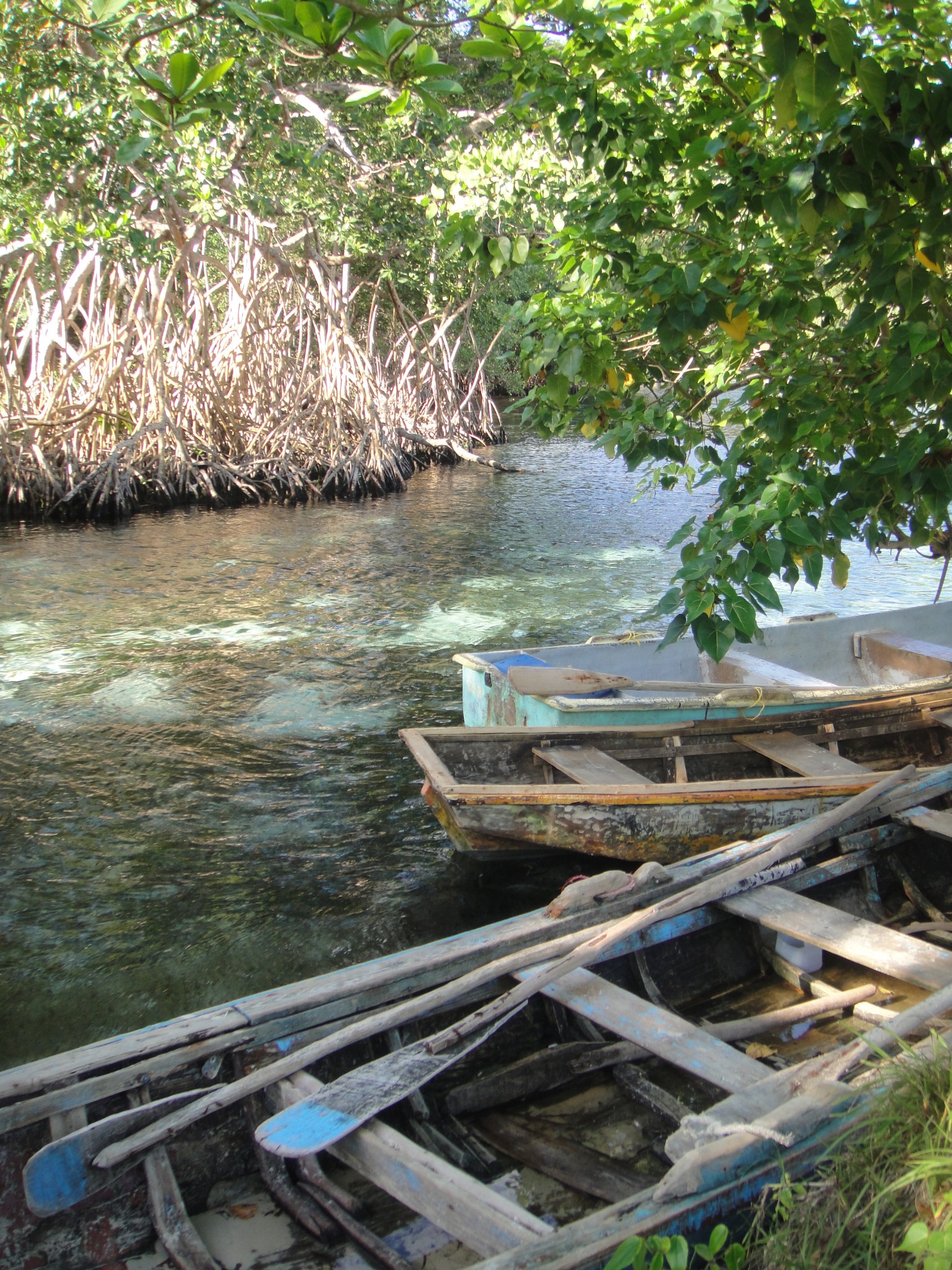Playa Rincon, Dominican Republic | The Velvet Rocket