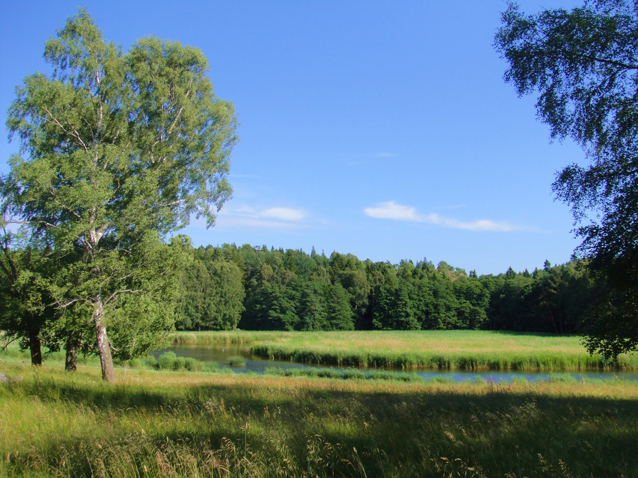 Utö Island, Sweden – Part 1 | The Velvet Rocket
