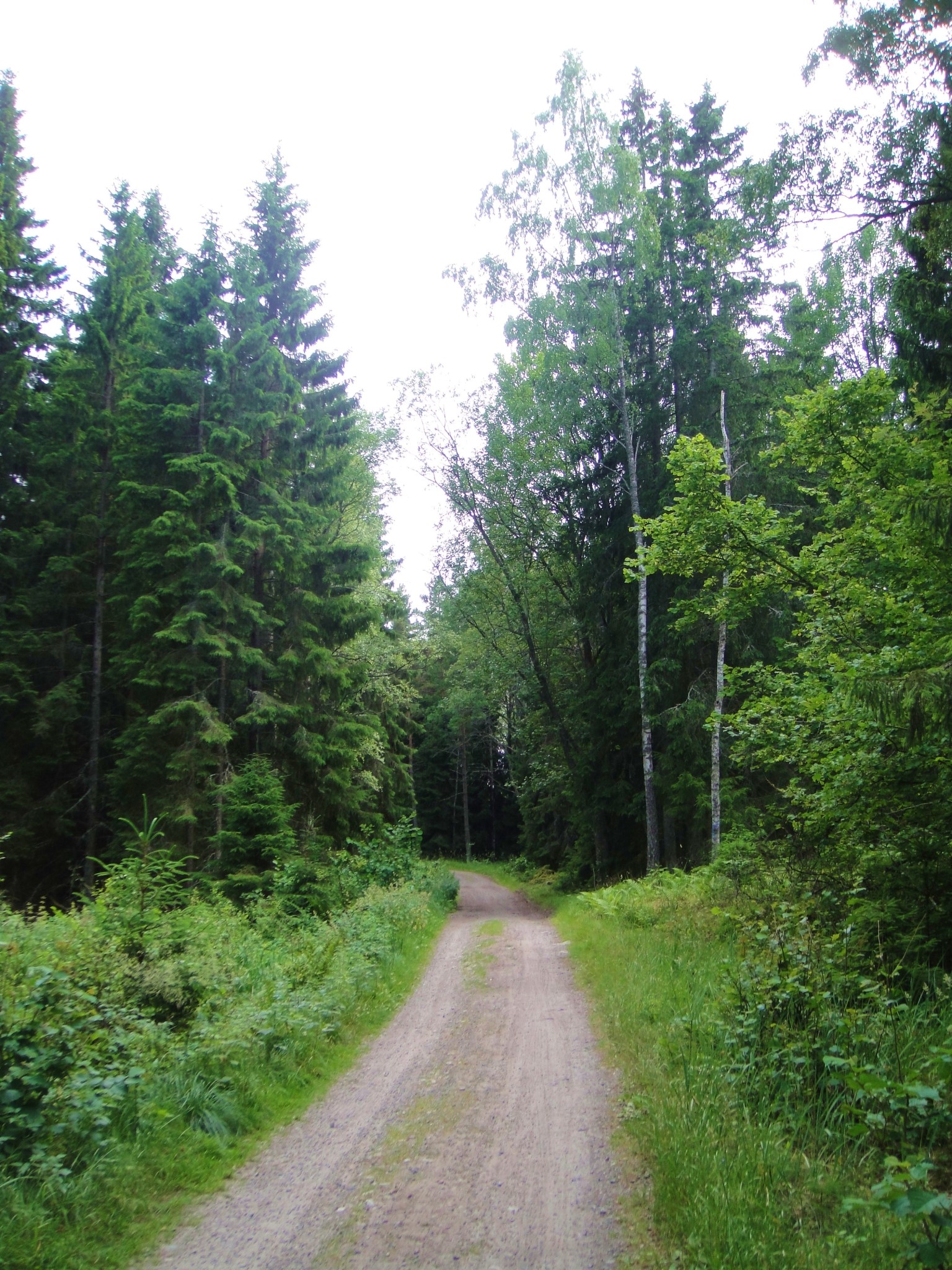 Utö Island, Sweden – Part 1 | The Velvet Rocket