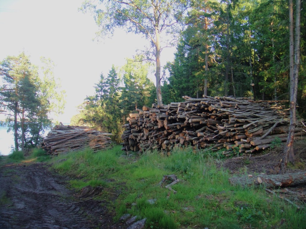 Utö Island, Sweden – Part 1 | The Velvet Rocket