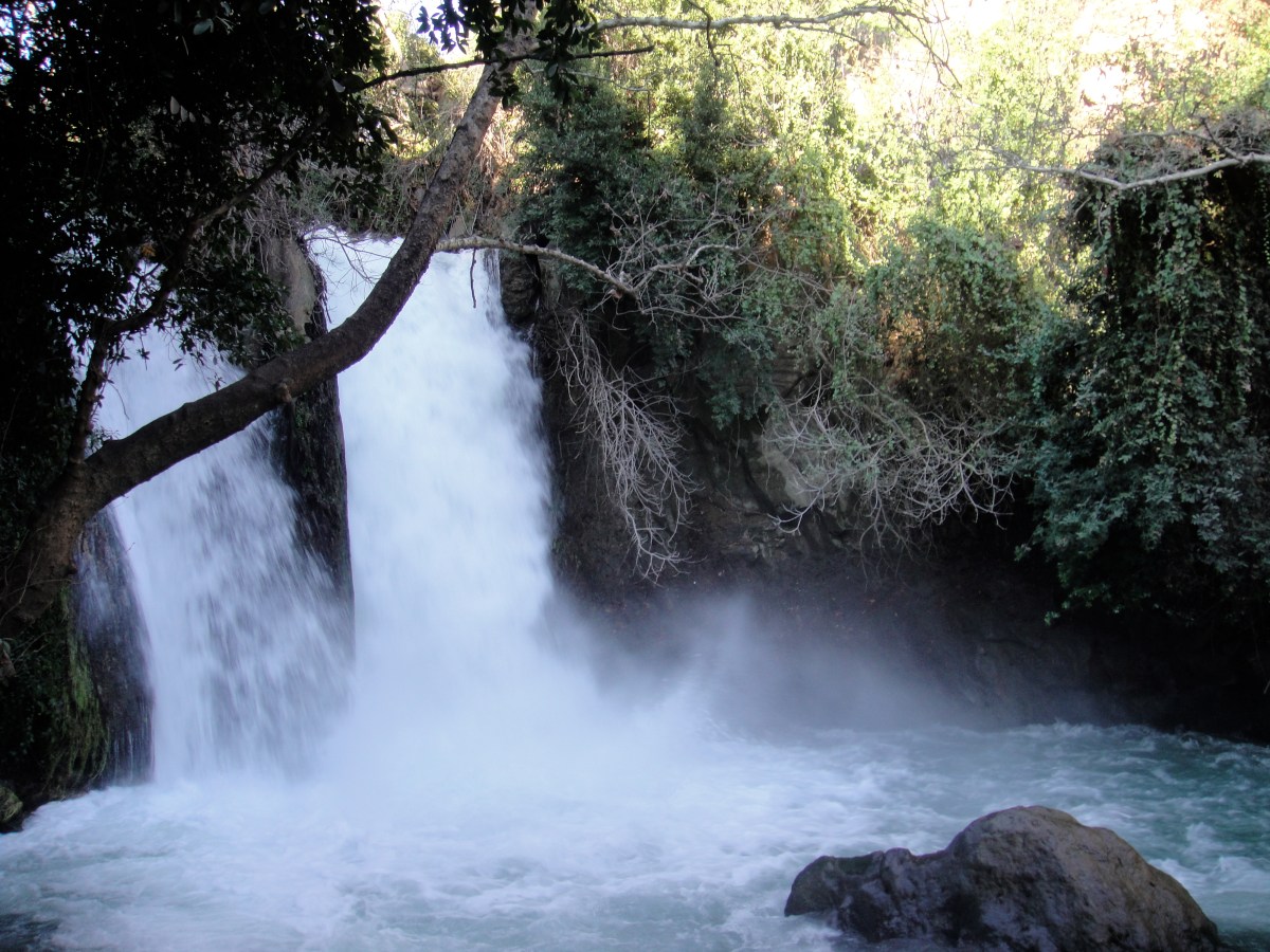 Banias Nature Reserve, Israel | The Velvet Rocket