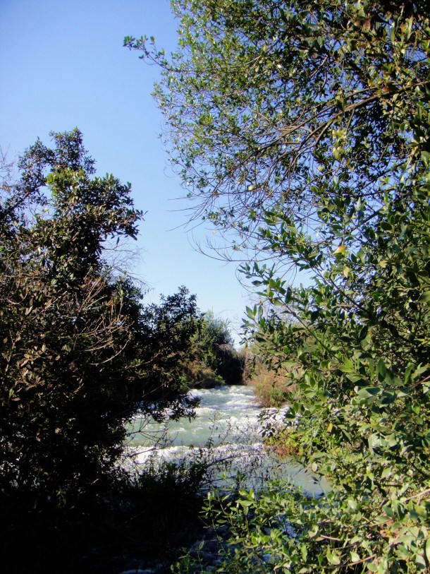 Tel Dan, The Dan River And The Largest Karst Spring In The Middle East ...