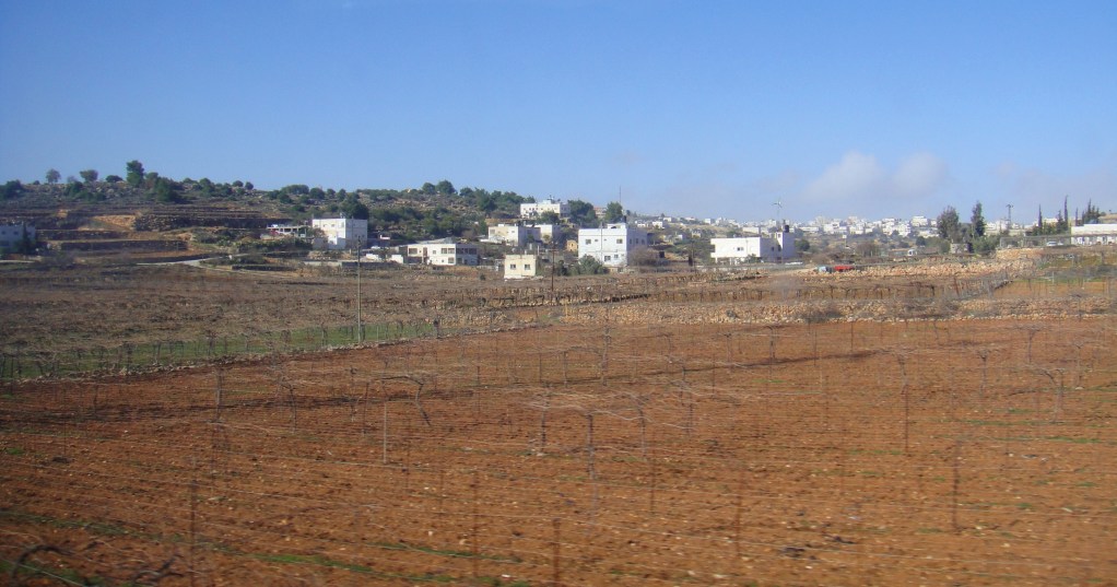 The Landscapes Of Palestine | The Velvet Rocket
