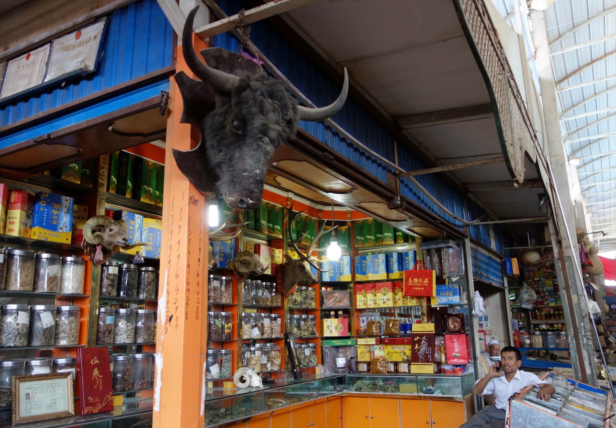 The Kashgar Sunday Market | The Velvet Rocket