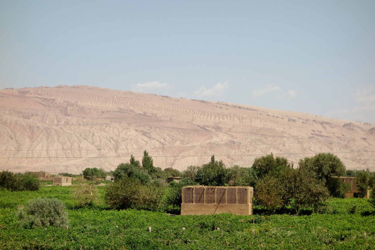 The Grapes Of Turpan | The Velvet Rocket