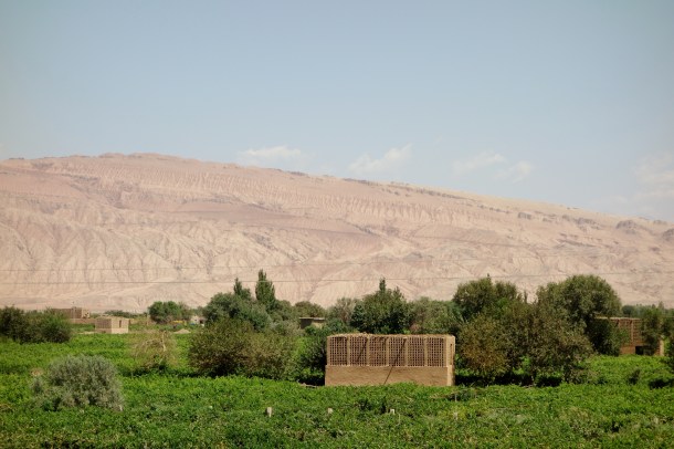 The Grapes Of Turpan | The Velvet Rocket