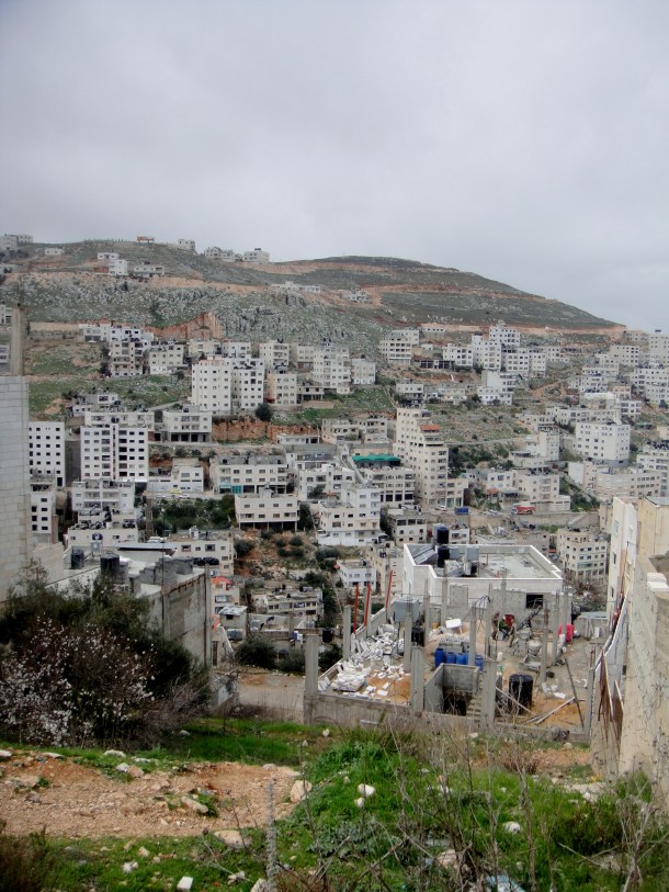 Nablus | The Velvet Rocket